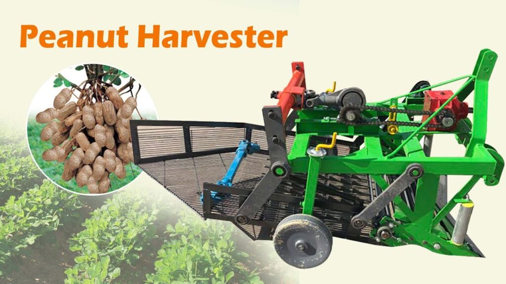 Efficient Peanut Harvesting Techniques for Large Scale Farming